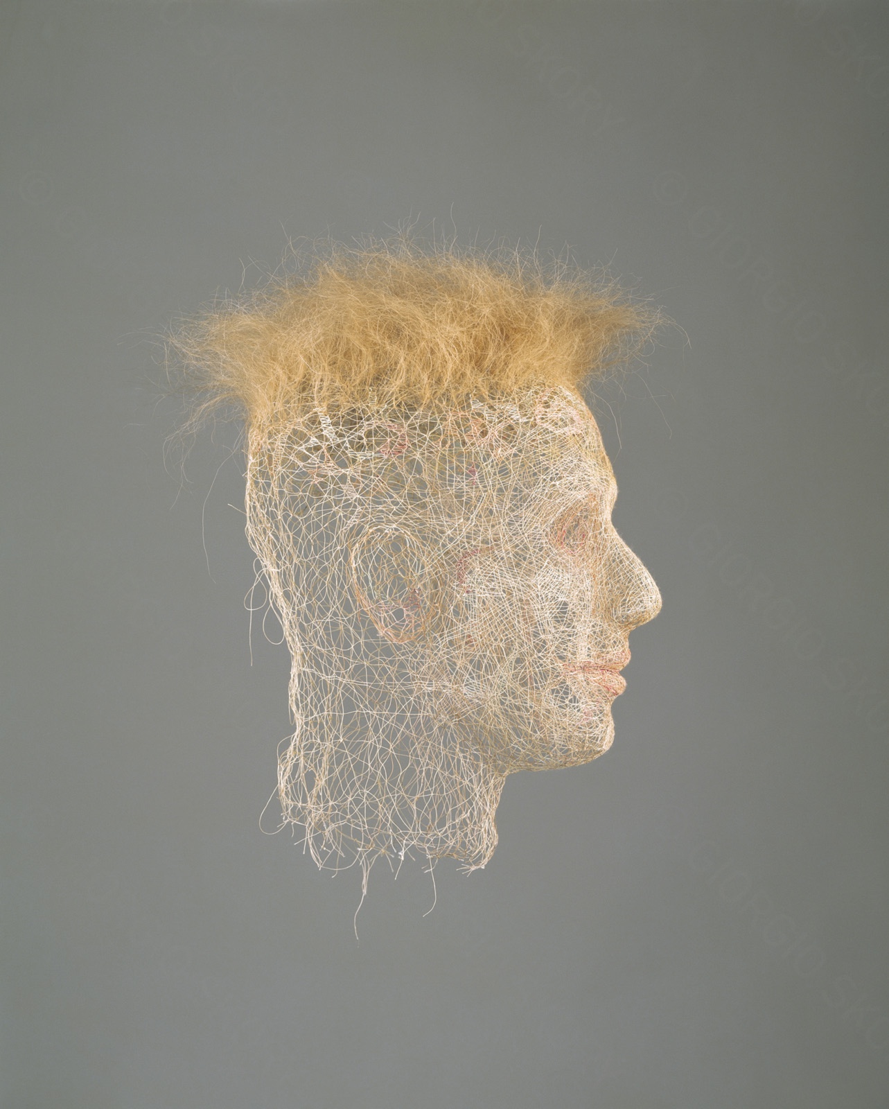 Association Werner Strub – Site Officiel